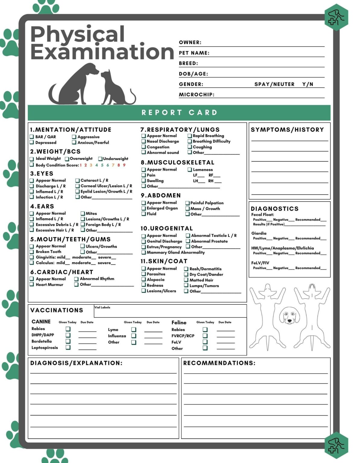 Veterinary Physical Exam Form Template